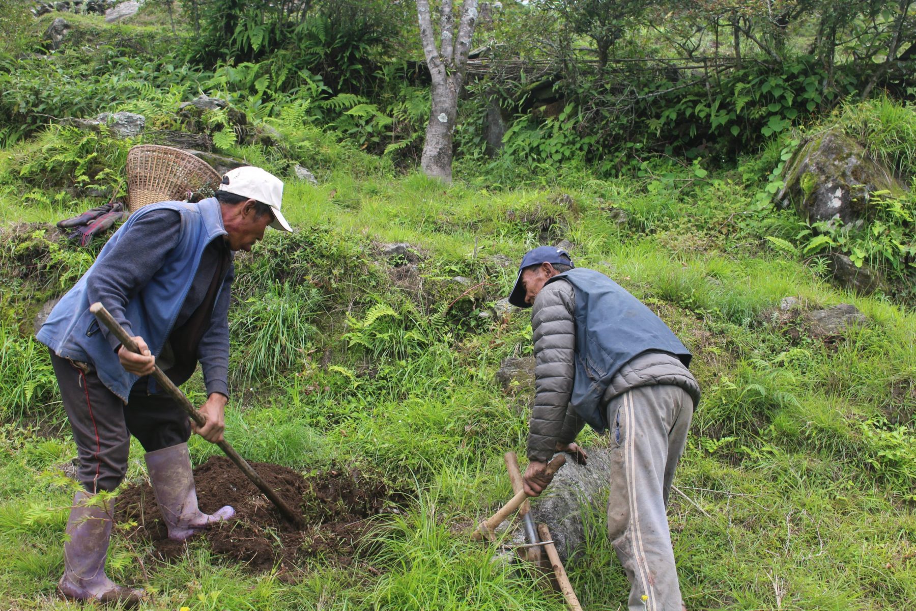 One Day, One Tree – The Partners Nepal
