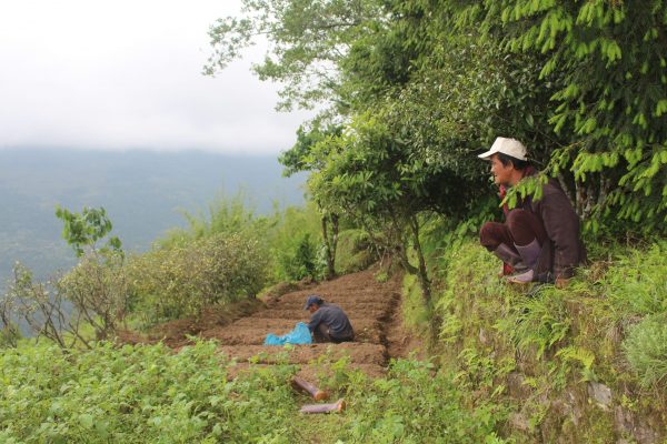 One Day, One Tree – The Partners Nepal